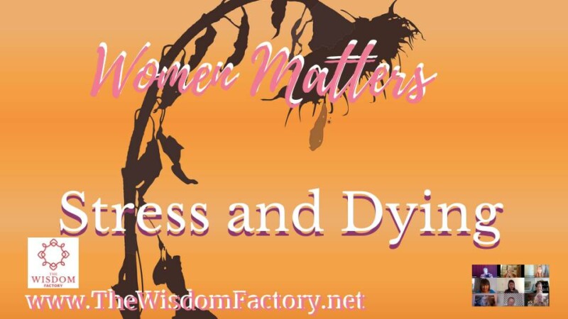 Stress and Death - The Wisdom Factory